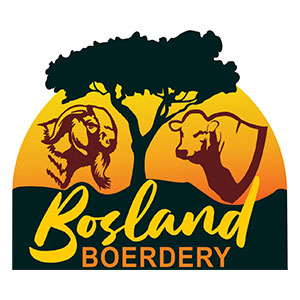 STOETTELERS – Vlakte Bonsmara